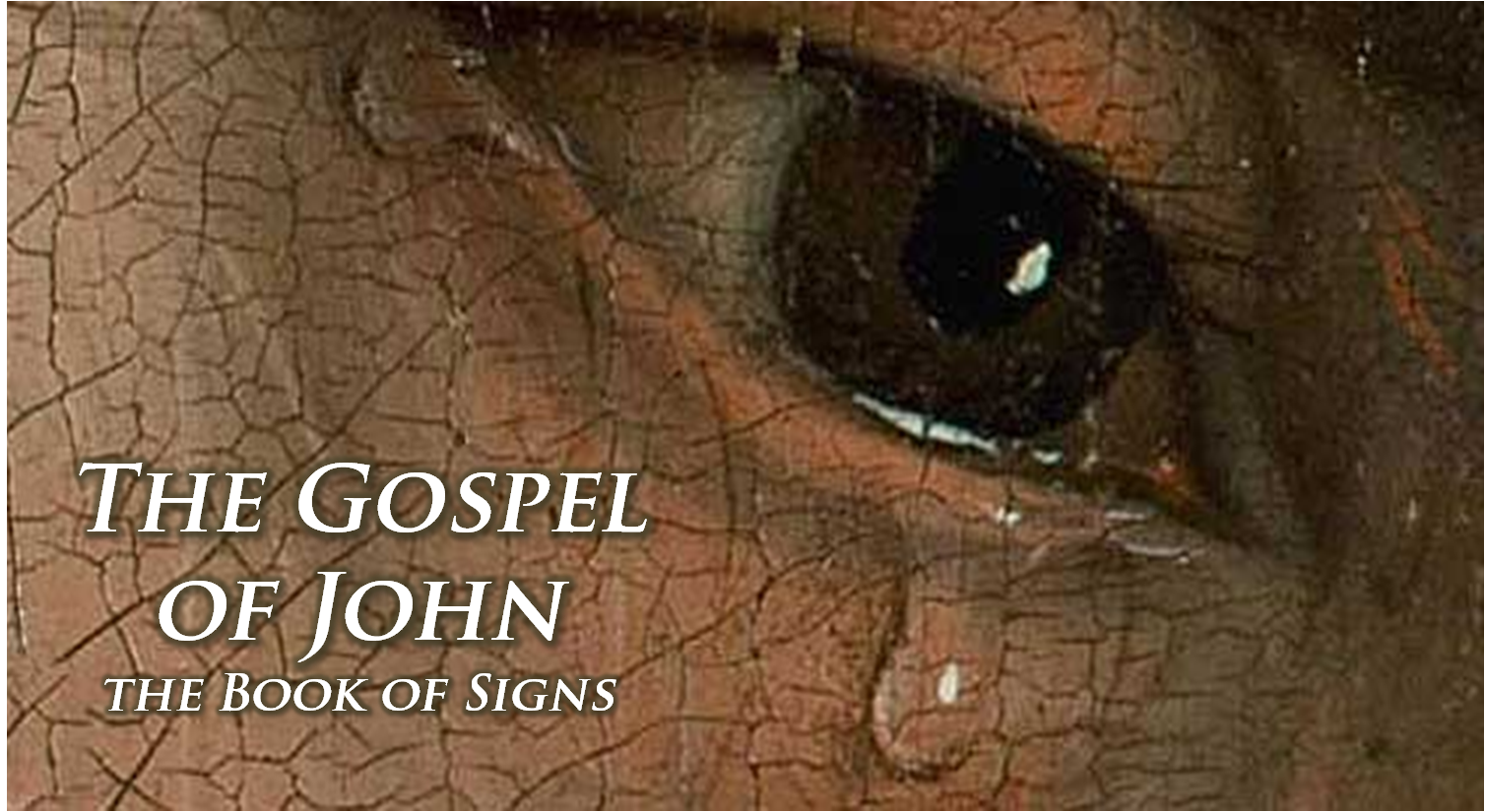 In the beginning … the Prologue and the book of signs (John 1 ...