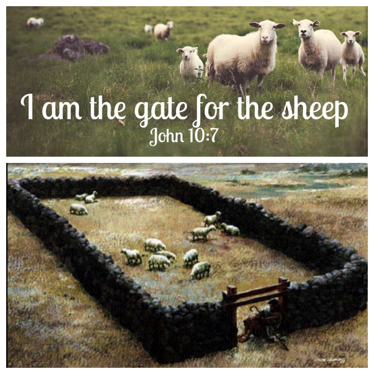 I am the gate for the sheep (John 10; Easter 4A) – An Informed Faith