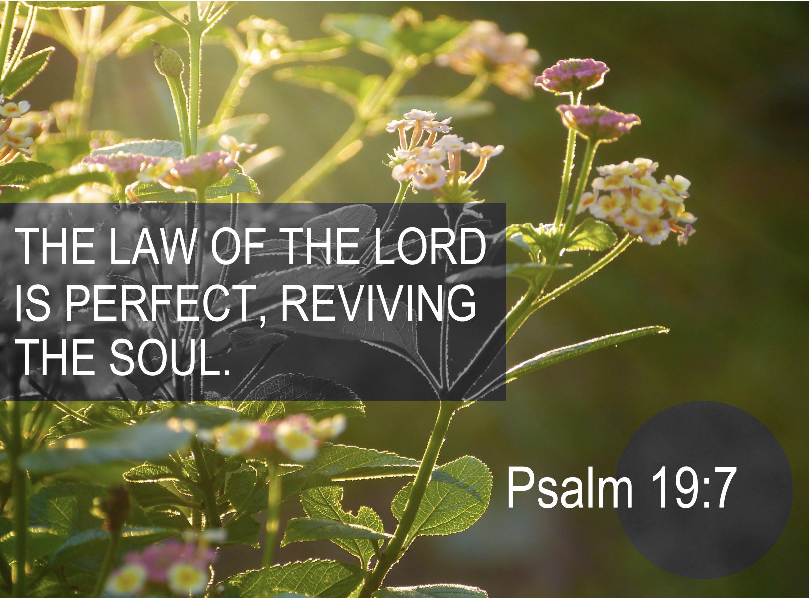 The law of the Lord is perfect (Psalm 19; Pentecost 19A) – An Informed ...