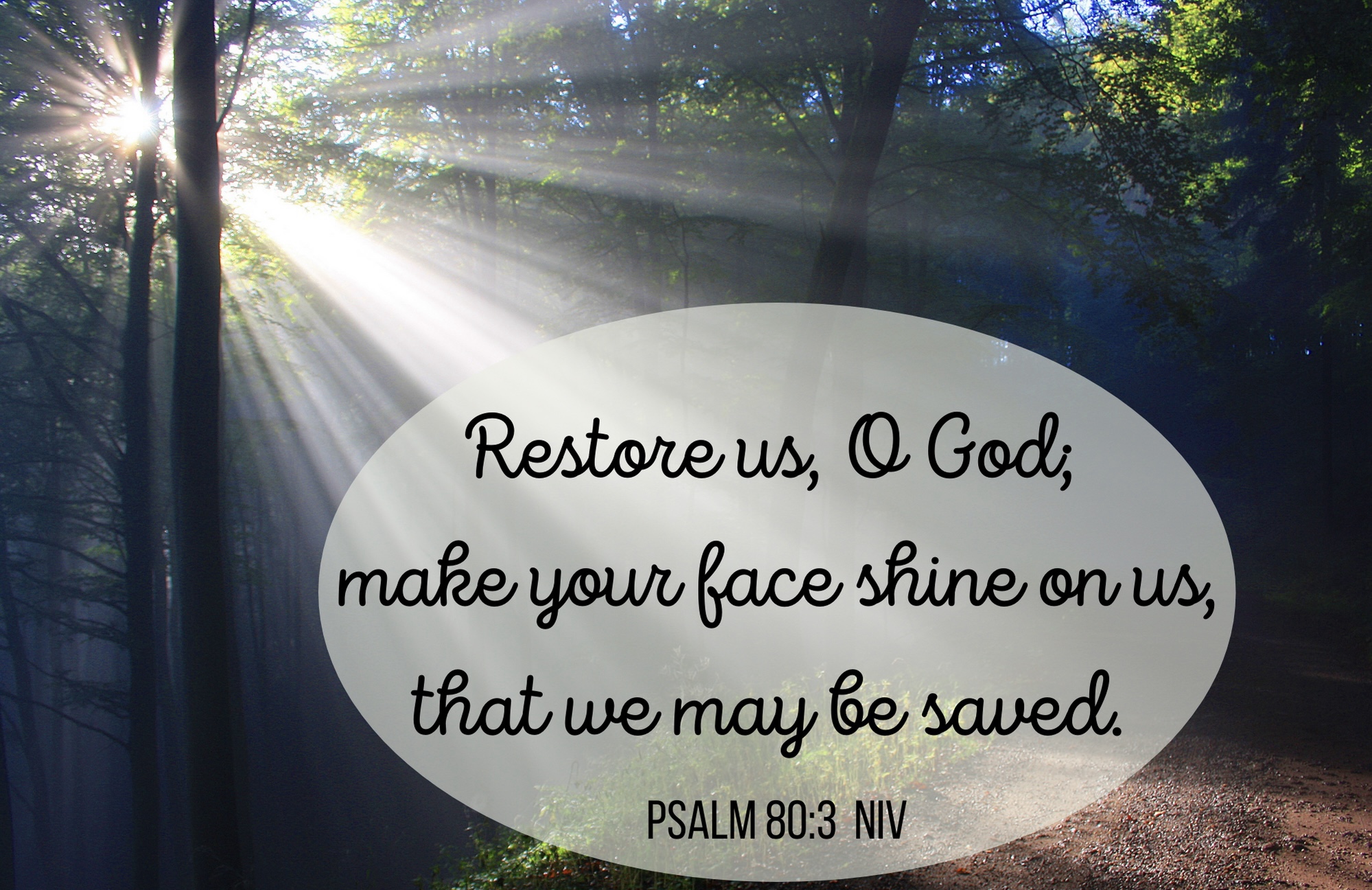 Let your face shine (Psalm 80; Advent 1B) – An Informed Faith