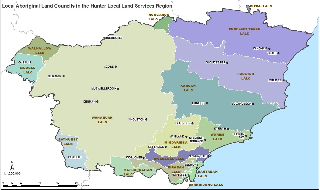 Learning from the land (6): the Gringai of the northern Hunter area ...