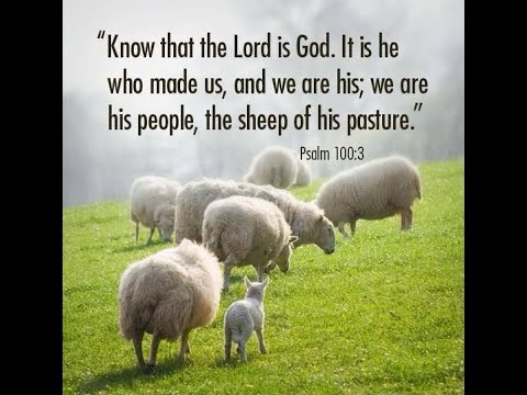 I am the good shepherd [who] lays down his life for the sheep (John 10 ...