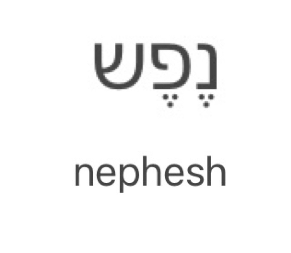 She took of its fruit and ate; and gave some to her husband … and he ...